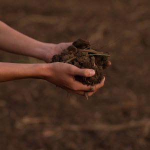 Transforming Rochester's Landscapes with KD Hardscape - Landscape ...